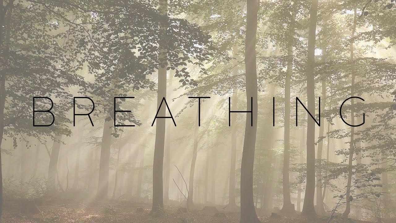 tranquility - Music for Relieving Stress and Anxiety | 'Breathing ...