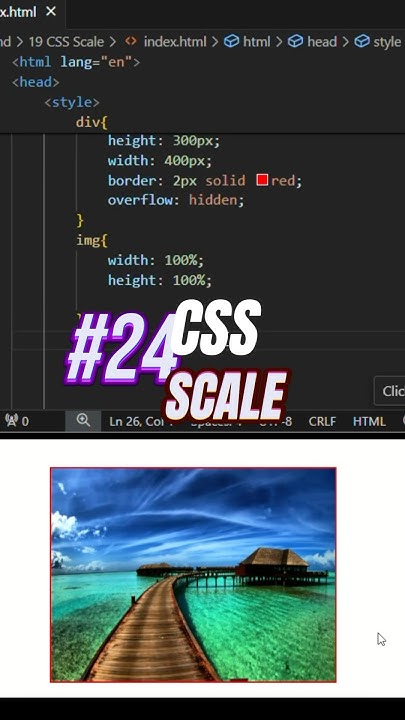 24100 Frontend Concepts Css Scale Css Html Tutorial Animation Scale