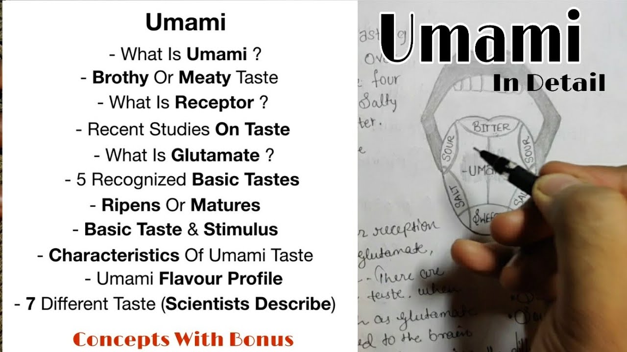 What Is Umami | Flavour Profile | In Detail | Culinary | Hotel ...