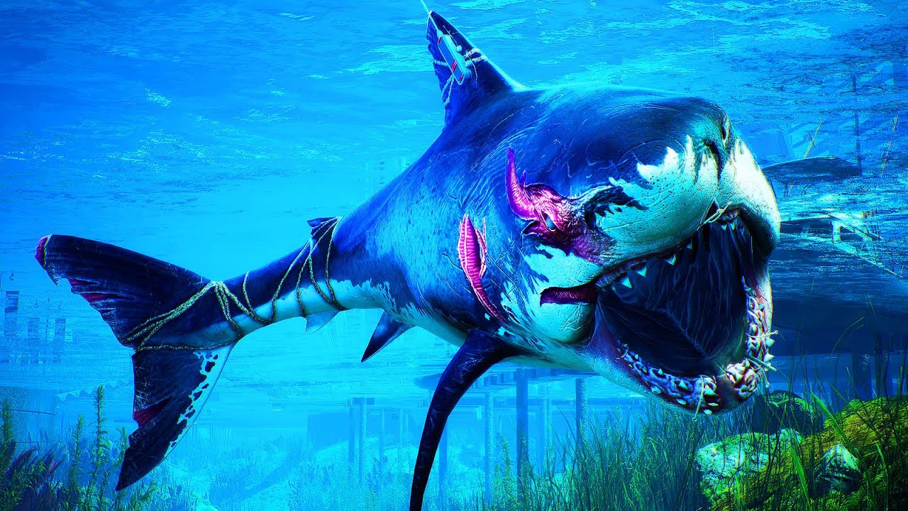 MANEATER - Trailer de lancement (2020 - Jeu de Requin RPG) - YouTube