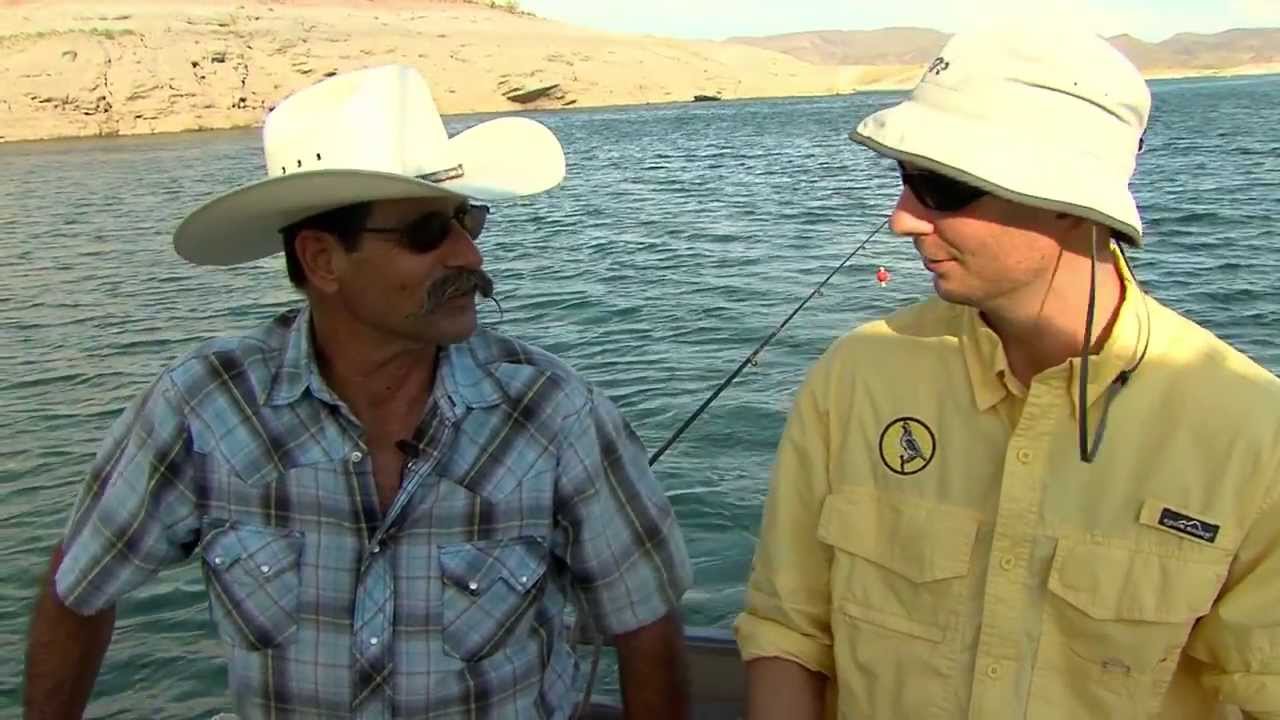 Catching a Record Catfish: Q&A with "Flathead Ed" - YouTube