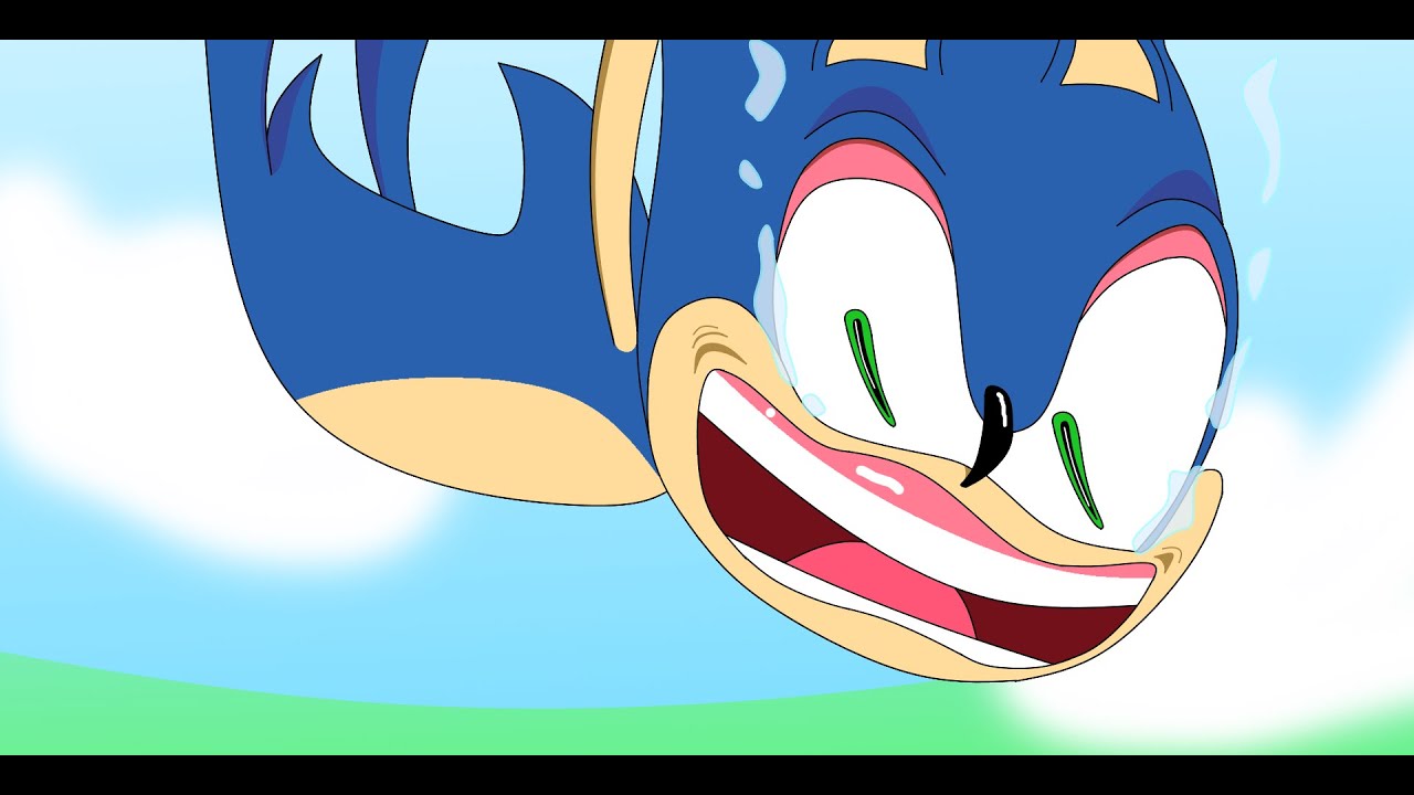 Sonic Falling (weird) - YouTube