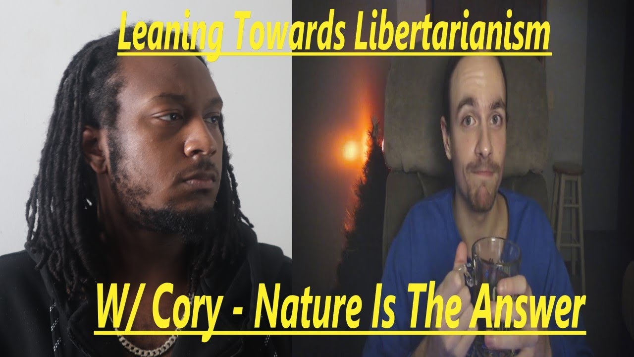 Should People Lean to Libertarianism? | Statism, Voluntaryism, w ...