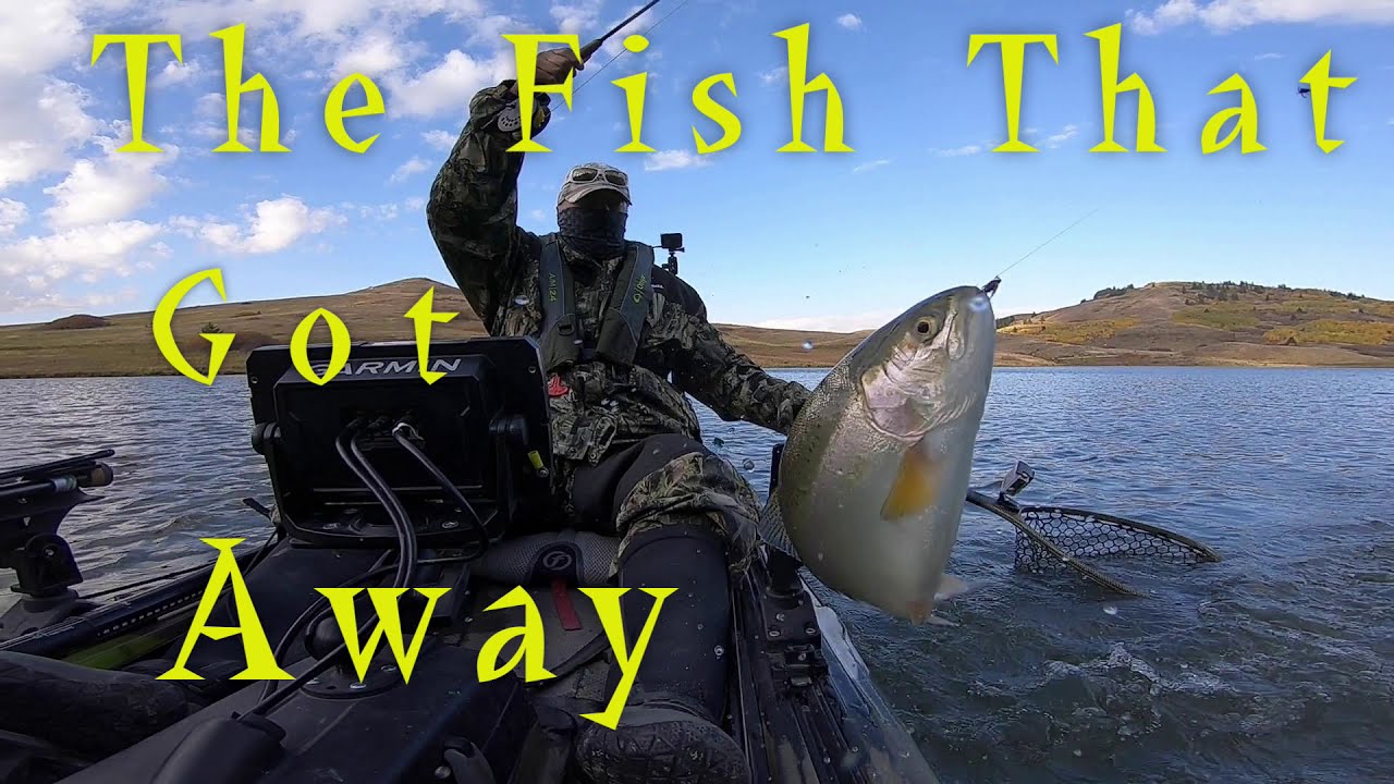 The Fish That Got Away - YouTube