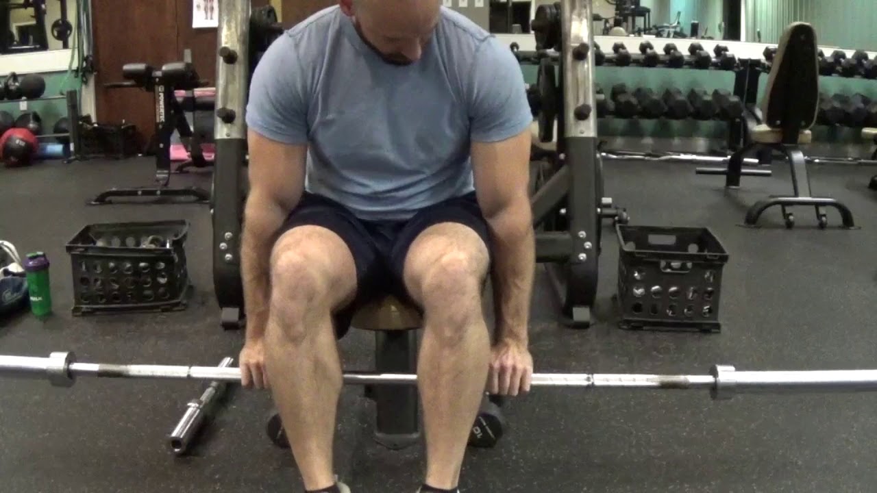 Forearms-Seated Barbell Flexion and Extension - YouTube