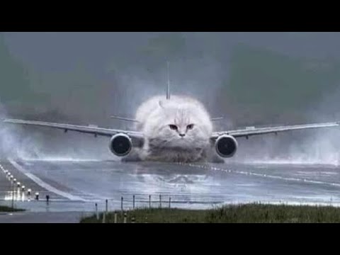 The MOST CURSED Plane pictures ever 😨 - YouTube
