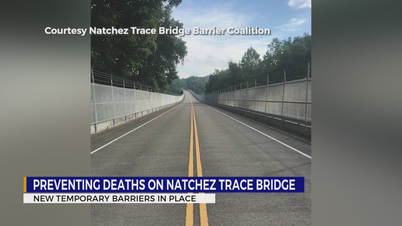 Preventing deaths on Natchez Trace Bridge - YouTube