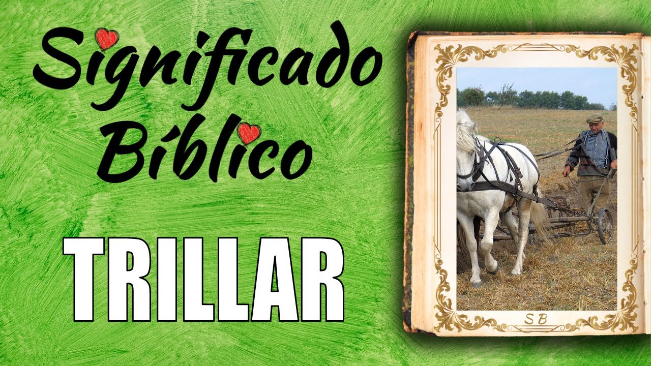 Trillar Significado Bíblico | ¿Qué Significa Trillar en la Biblia? 🙏 ...