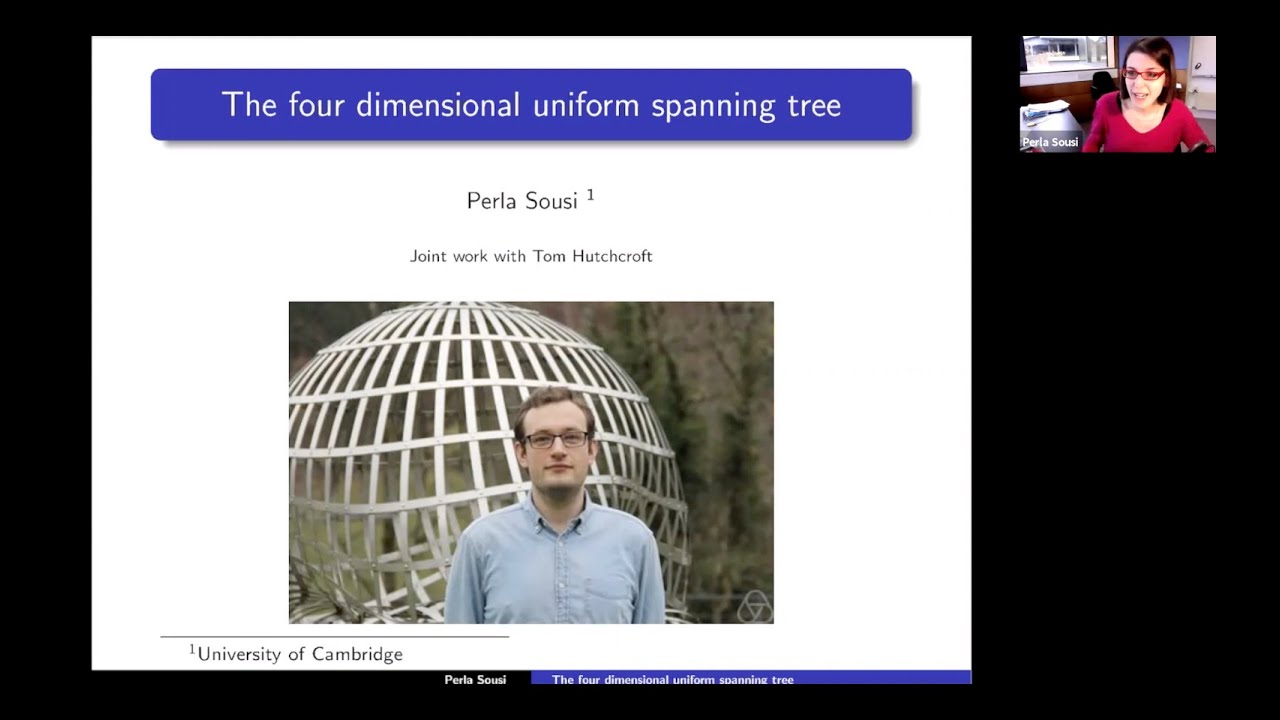 Perla Sousi (Cambridge), The uniform spanning tree in 4 dimensions, 2nd ...