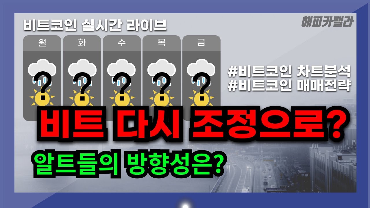 비트코인 실시간 비트코인 다시 조정인가 알트코인 방향성은 49 저녁💎비트코인 비트코인실시간 이더리움 리플