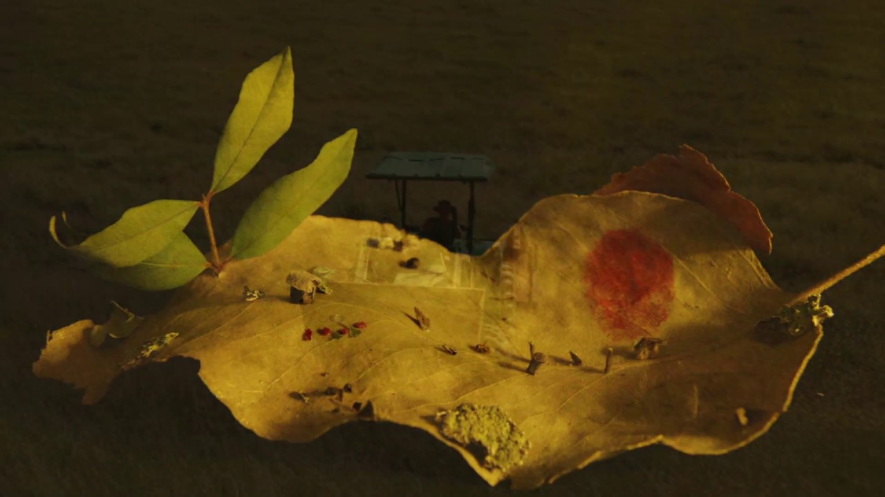 macro world, micro world - YouTube