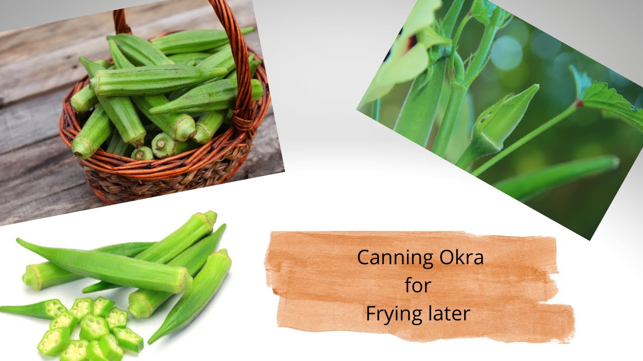 Canning okra to fry later #okra #friedokra #canning - YouTube