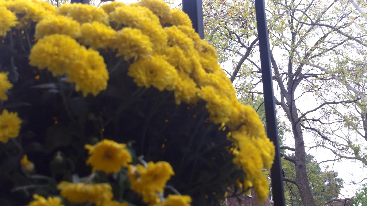 Saturday Morning Shower - YouTube