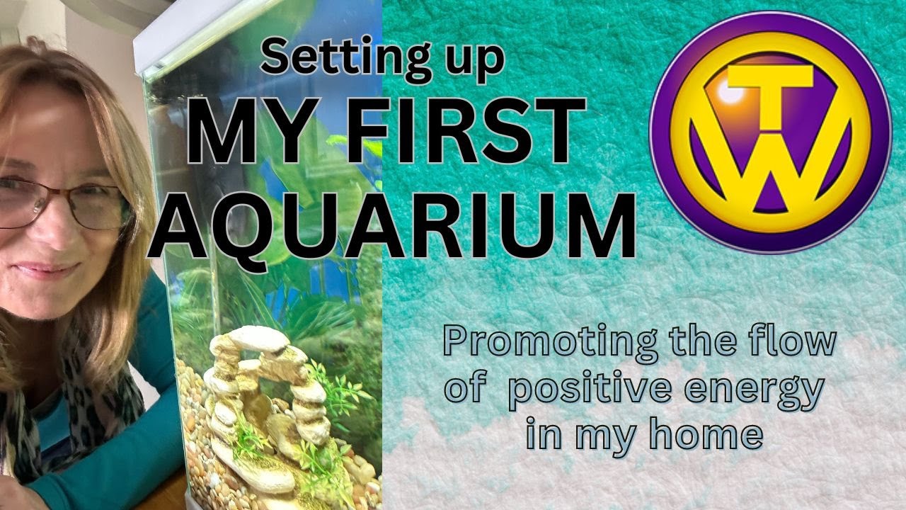 Setting up my first aquarium - tropical fish, how to set up an aquarium ...