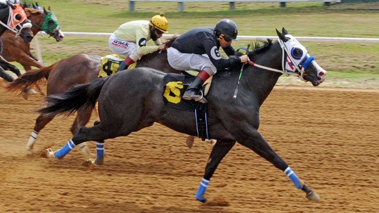 Inside the 2019 Racing Challenge Line-up at Will Rogers Downs - YouTube