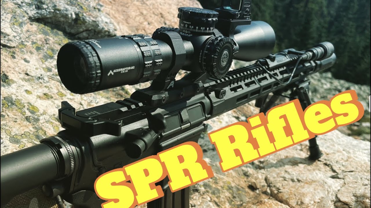 The SPR/DMR concept. Bridging the gap between the General Purpose Rifle ...