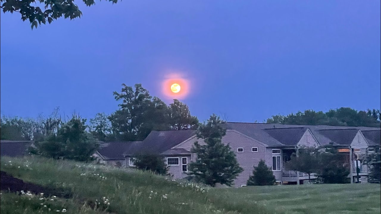 A love song for you - milly g - YouTube