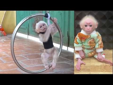 Baby ChuBi playing on a swing / Baby ChuBi TV - YouTube