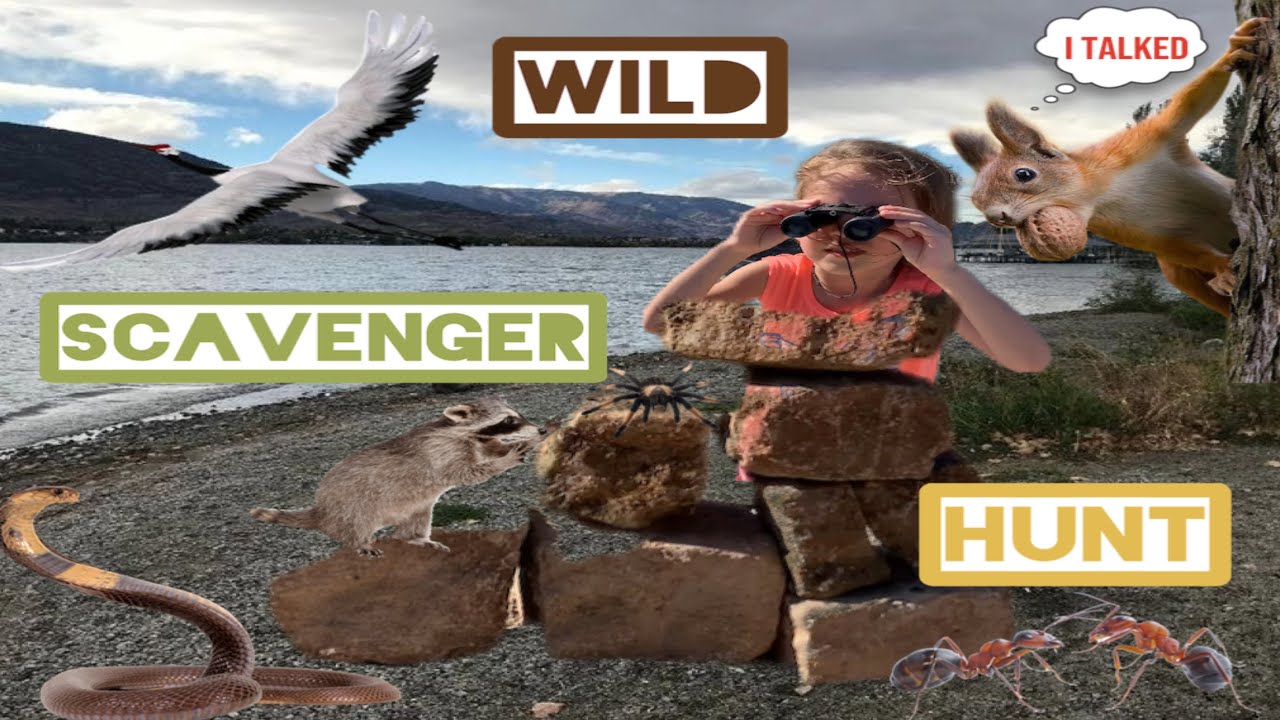 Wild Scavenger Hunt & THE SQUIRREL TALKED!!!!!!!🐞 - YouTube