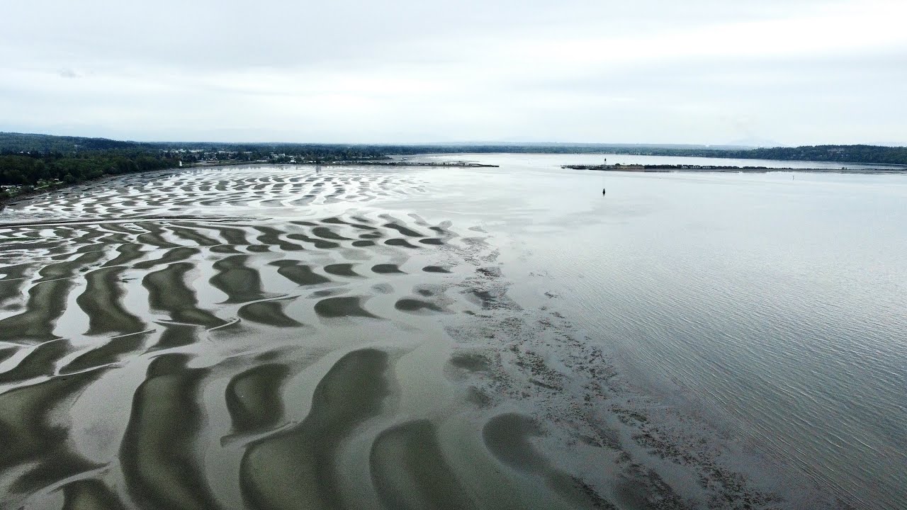 Semiahmoo First Nation & A Rocha Canada | Revitalizing Traditional ...