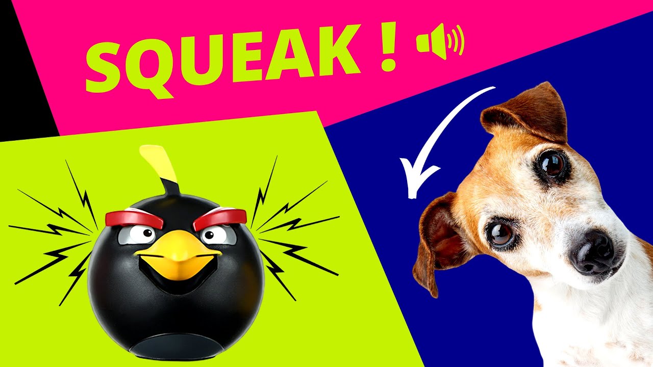 Squeaky Toy Dog Toy Sounds Dogs LOVE to Hear The Most 📣🐶 ️ - YouTube
