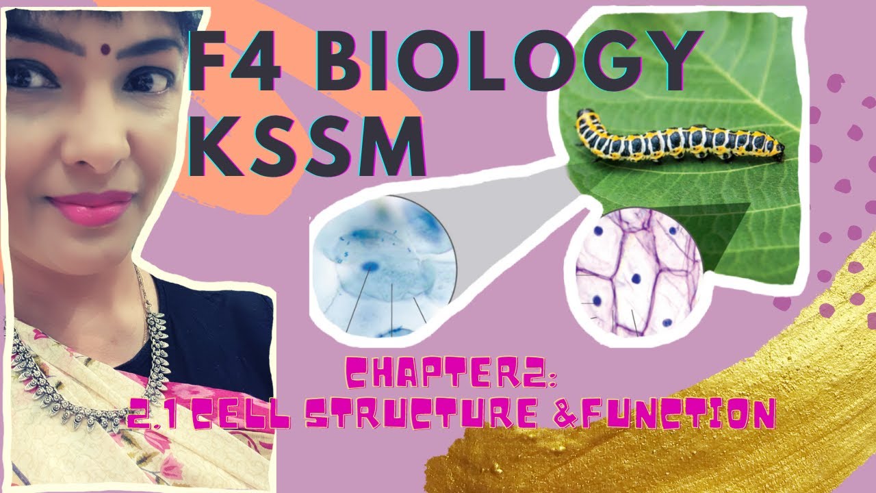 F4 BIOLOGY KSSM (CHAPTER 2: 2.1-CELL STRUCTURE &ORGANISATION) - YouTube