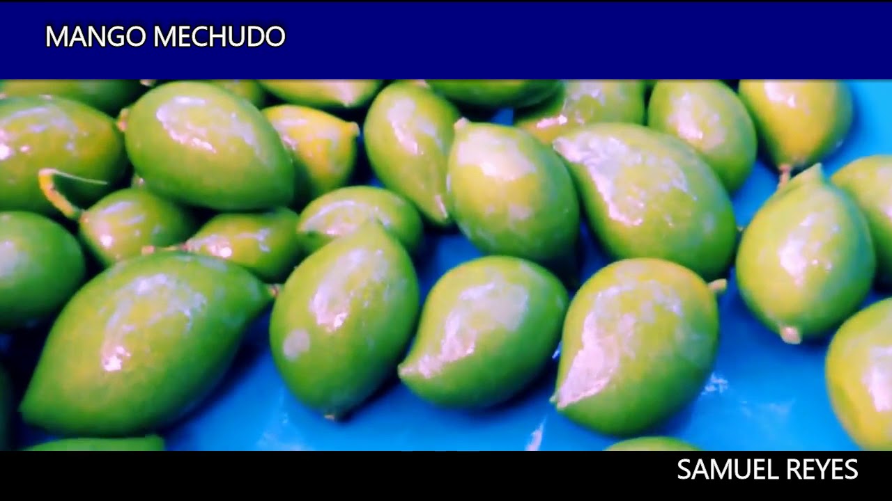 Mango Mechudo - YouTube