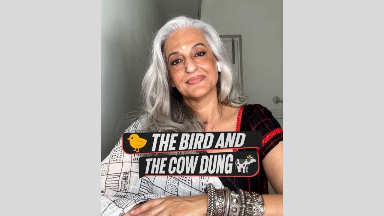THE BIRD AND THE COW DUNG - Seema Anand StoryTelling - YouTube