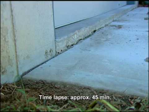 Concrete Repair Tips - Mudjacking and Slabjacking Techniques - YouTube