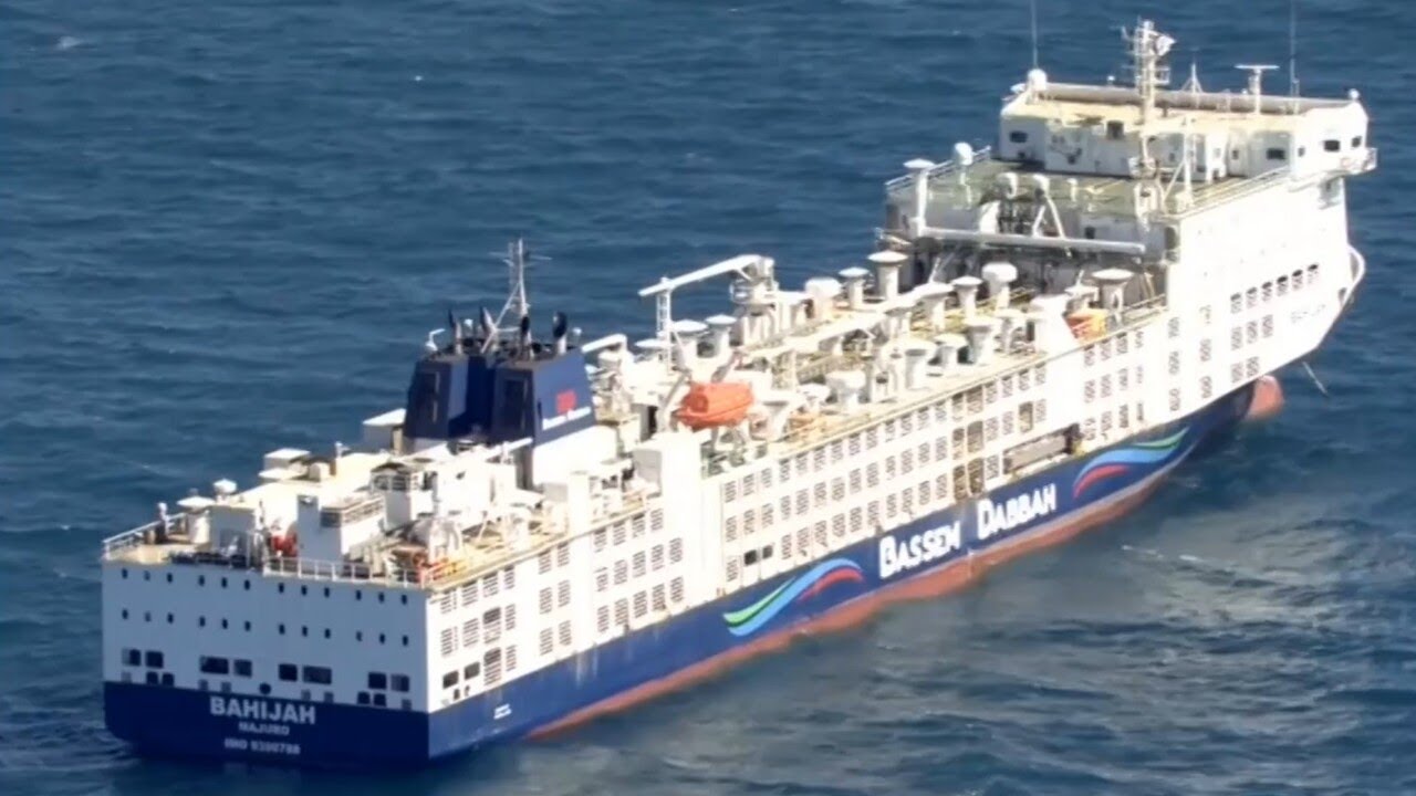 Livestock ship to return to Western Australia shore - YouTube
