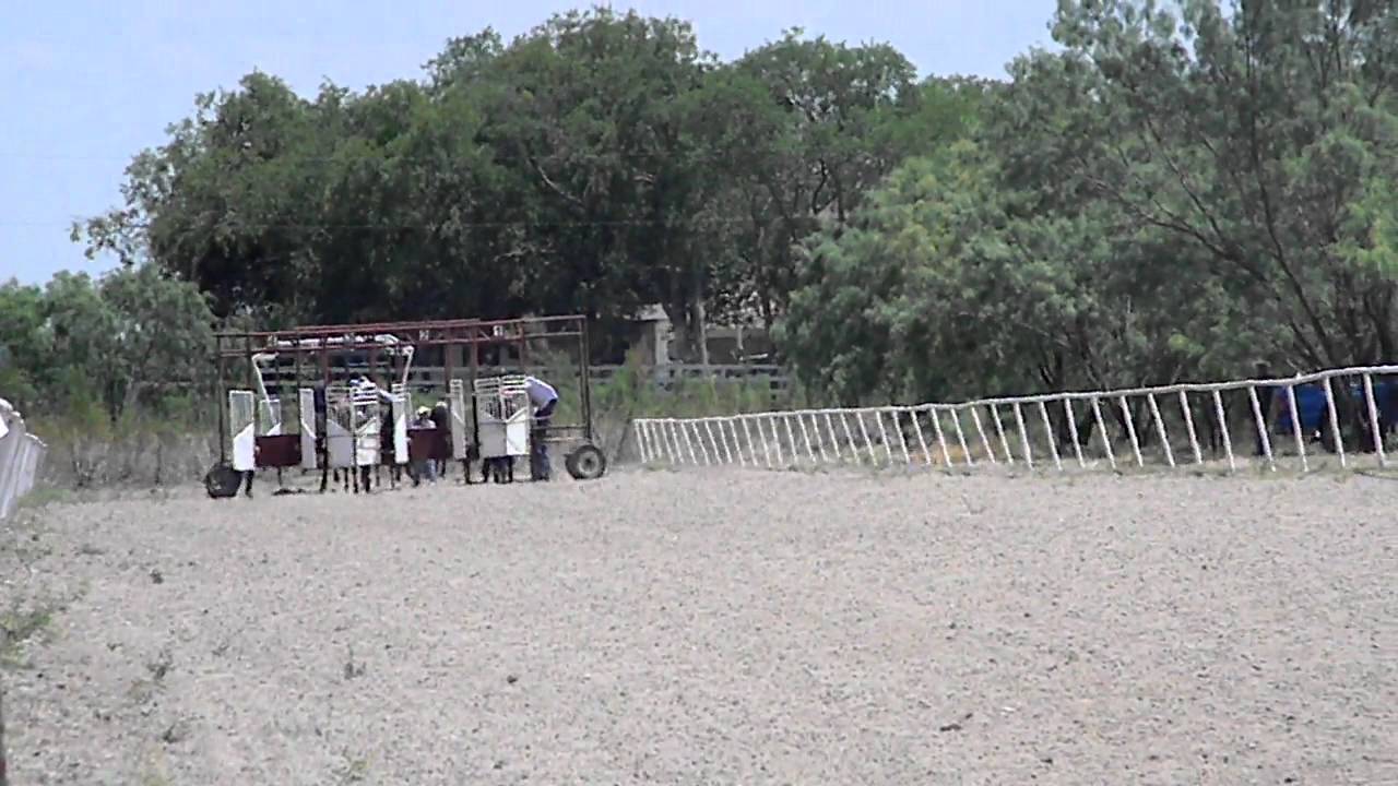 Horse Racing in Quemado TX - YouTube