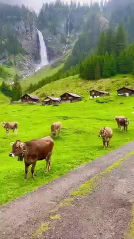 The Kashmir valley - YouTube