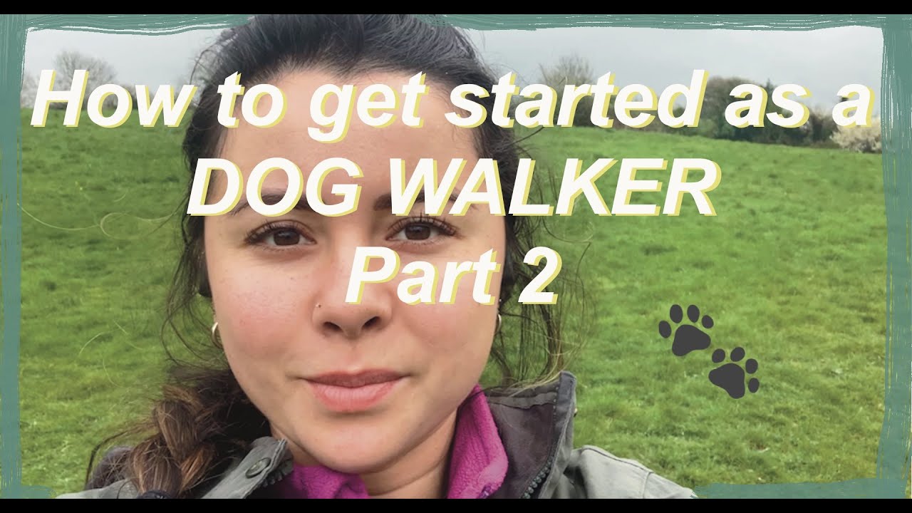 How to get started as a DOG WALKER : part 2 - YouTube
