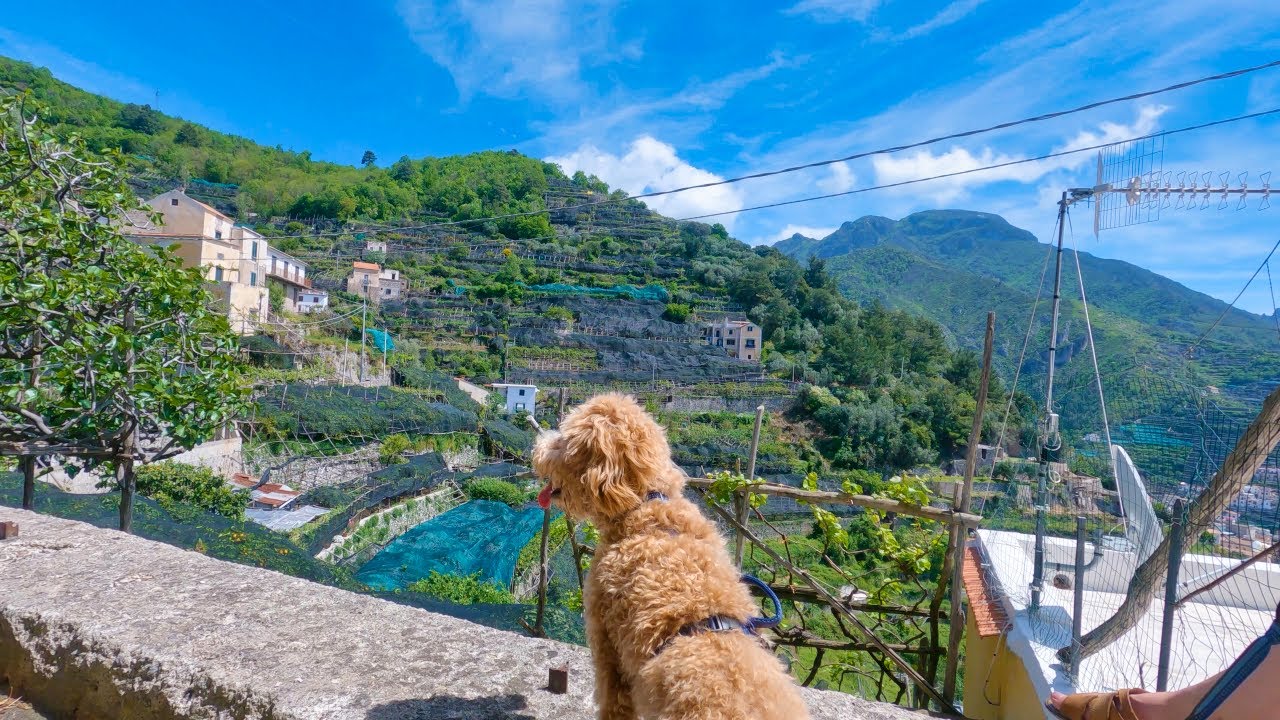 Hiking Italy: Path of the Lemons on the Amalfi Coast - YouTube