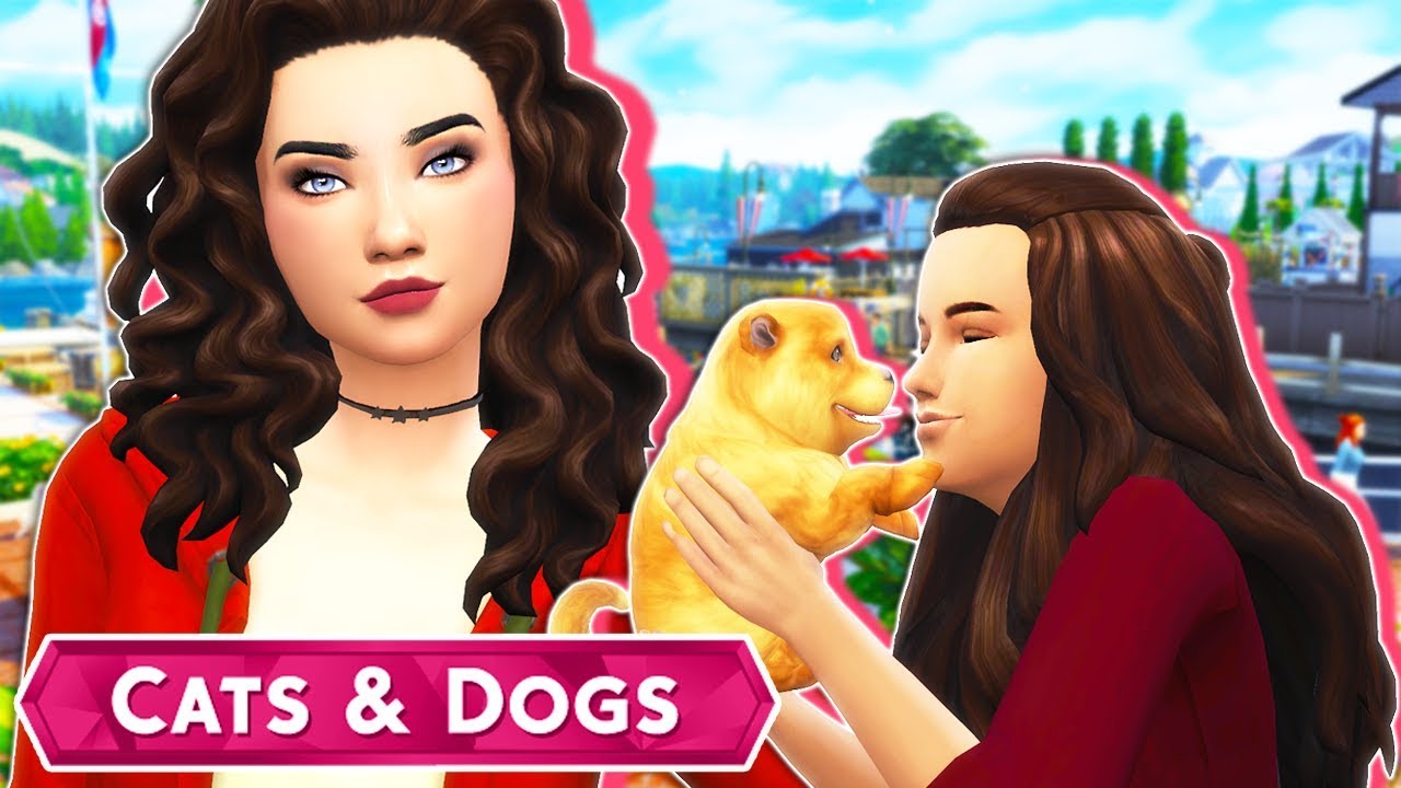EXPLORING & STRAY CATS🐾🐈 // The Sims 4 | Cats & Dogs #2 - YouTube