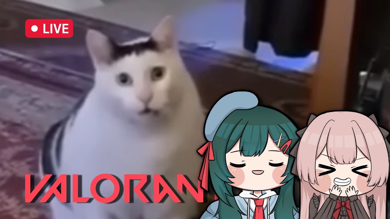 【VALORANT LIVE🔴】flu = istirahat? valo | mintzsu & choco - YouTube