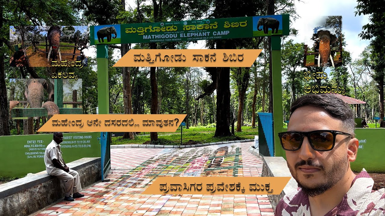 ಮತ್ತಿಗೋಡು ಆನೆ ಶಿಬಿರ ಮಡಿಕೇರಿ | Mathigodu elephant camp near Mysore Coorg ...