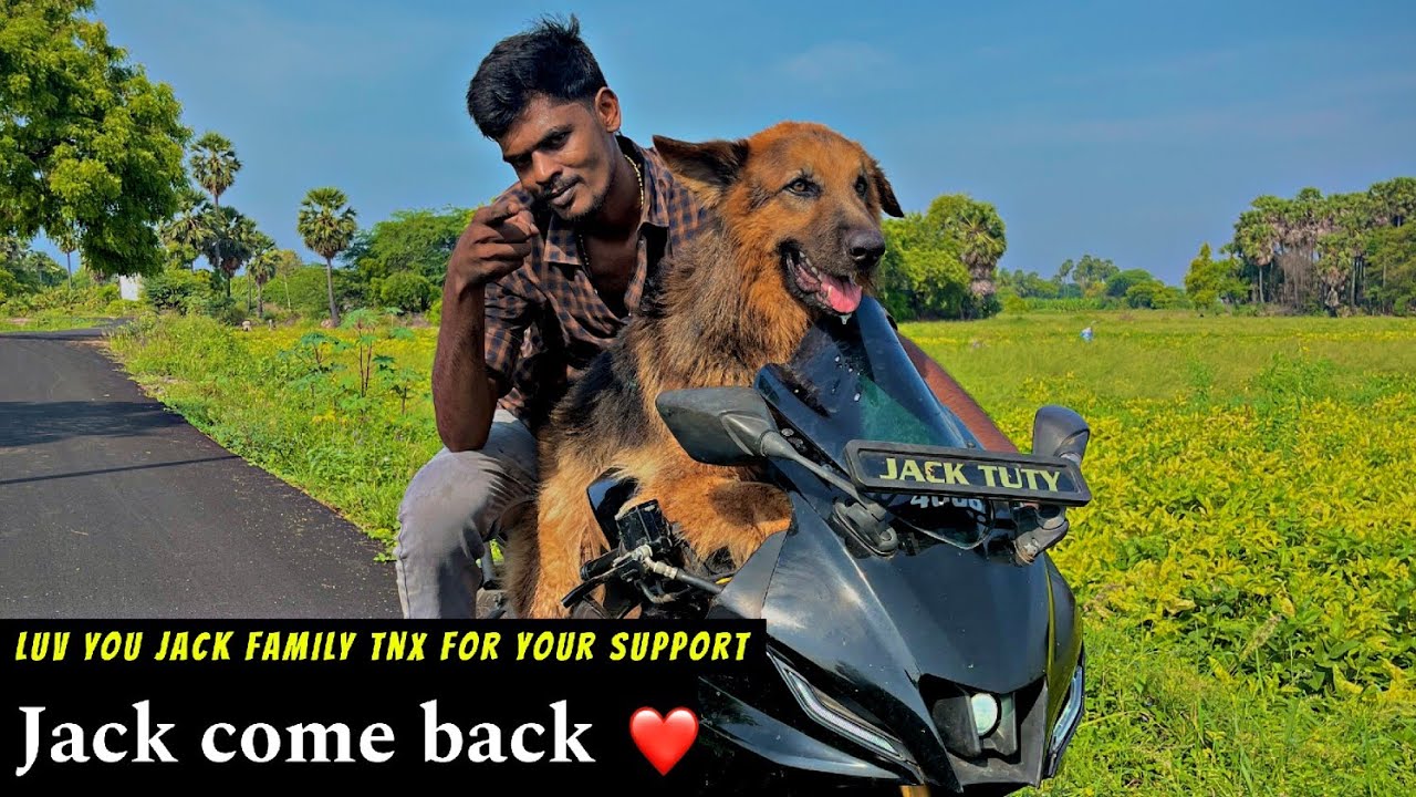 Jack come back 😍 | Luv you Jack family ️ | tnx for your love and ...