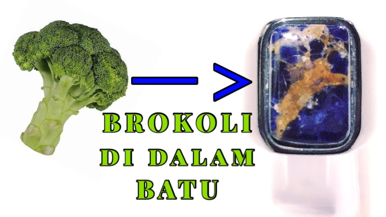 BATU AKIK PIRUS PINGLON MOTIF BROKOLI || NATURAL SODALITE STONE - YouTube
