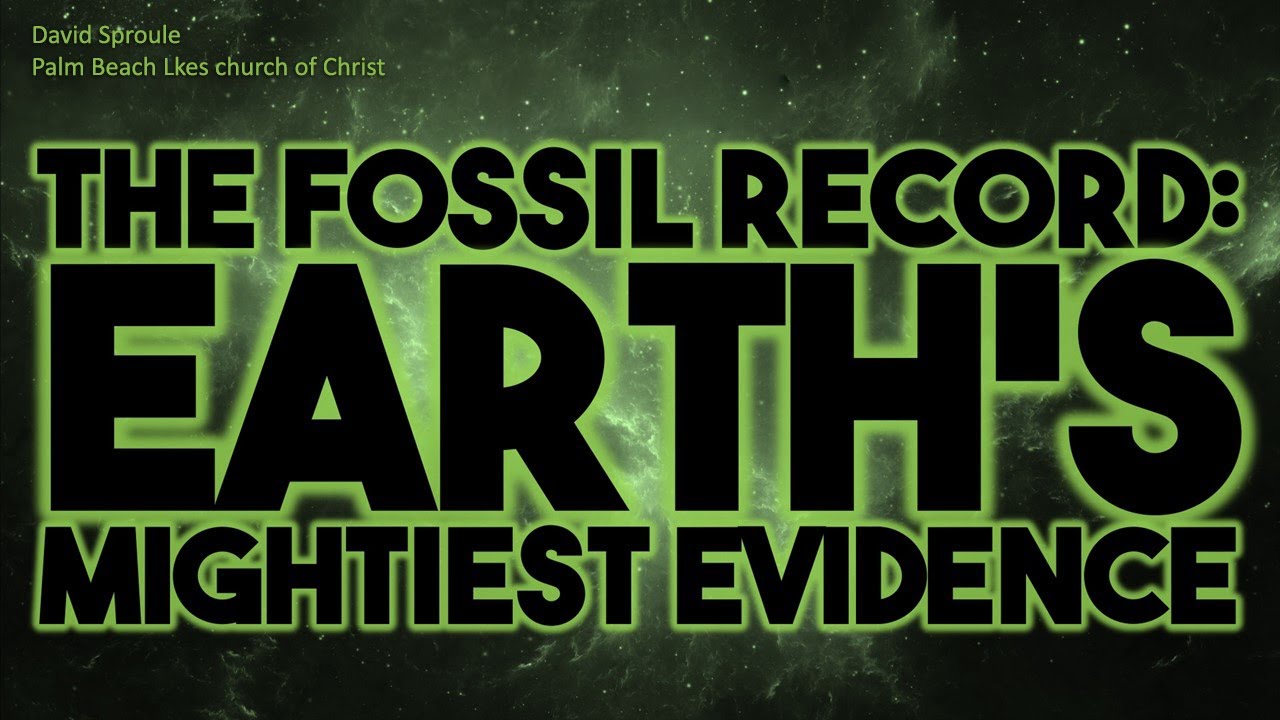 The Fossil Record: Earth's Mightiest Evidence - YouTube