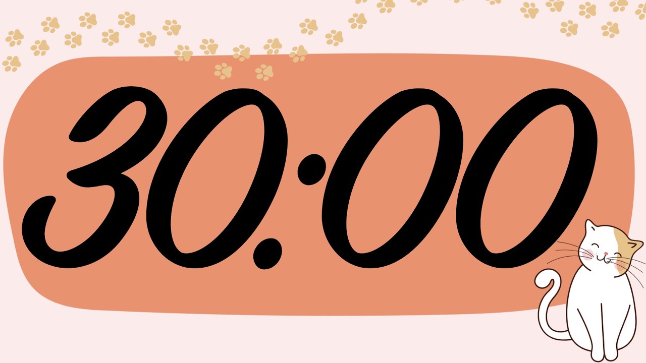 30 Minute Fun Happy Cat Timer (Guitar Alarm at End) - YouTube