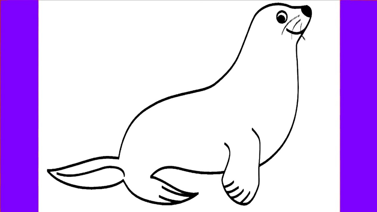 COMO DESENHAR UMA FOCA - YouTube