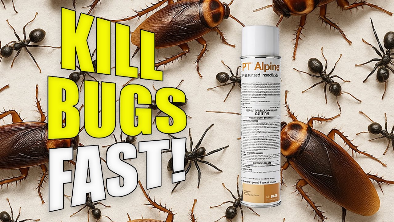 How to Use PT Alpine Pressurized Insecticide | BASF DIY Pest Control ...