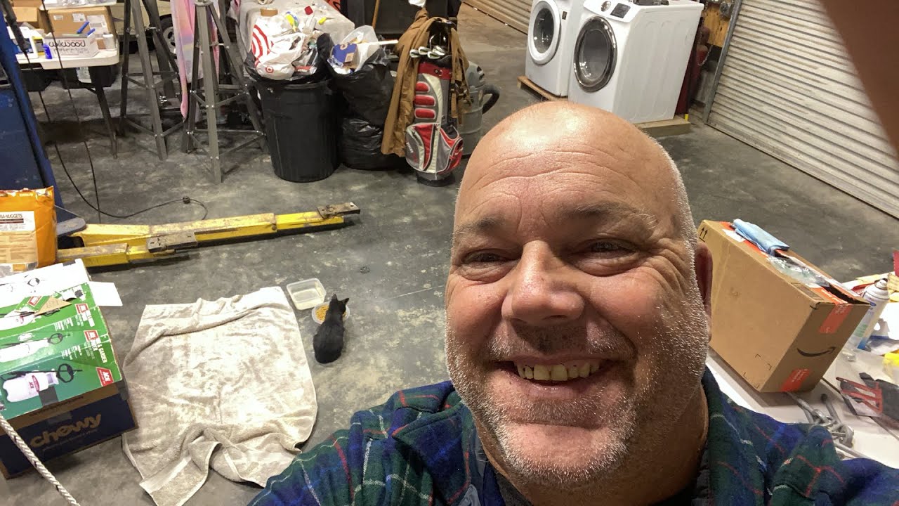 Playing with Jenn and Ellie my new cats - YouTube