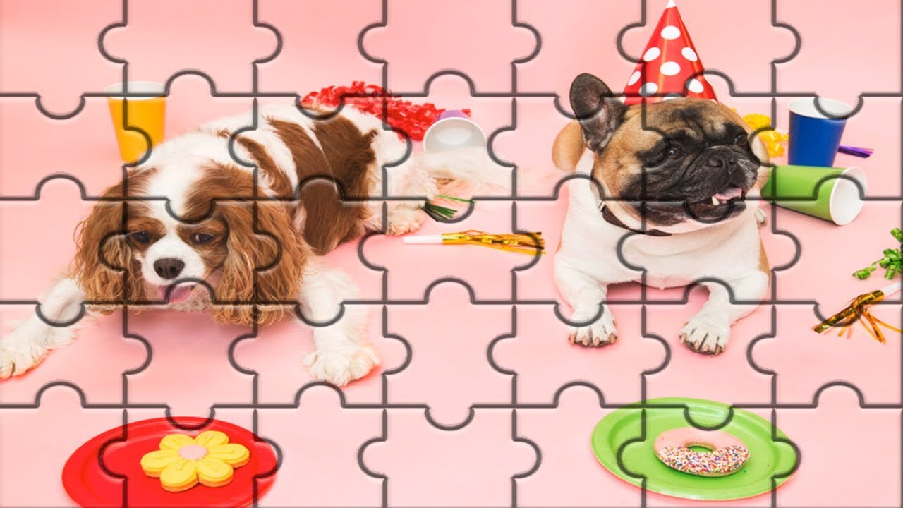 Poochie party puzzle game video for kids - YouTube