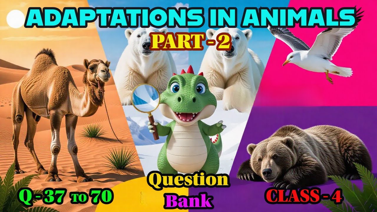 Adaptations in Animals | Class 4 Science | Part 2 | Q37-70 Question ...