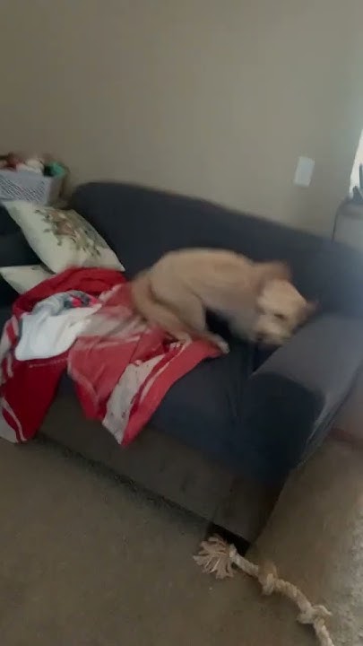 Basic Huffman text compression - YouTube