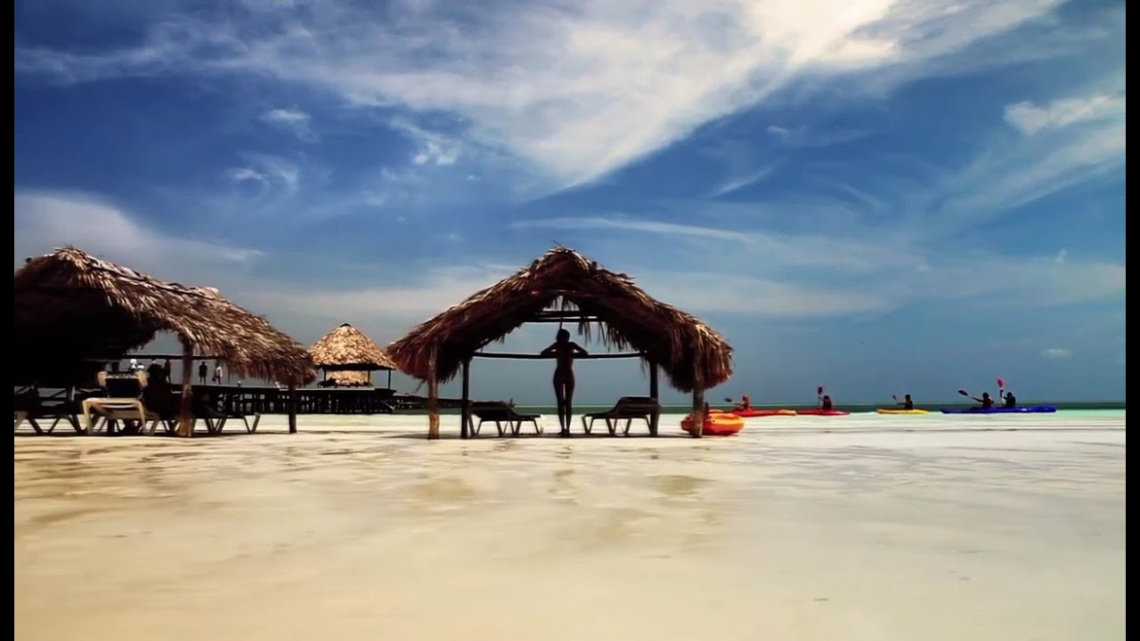 Plaid - Nurula - YouTube Music