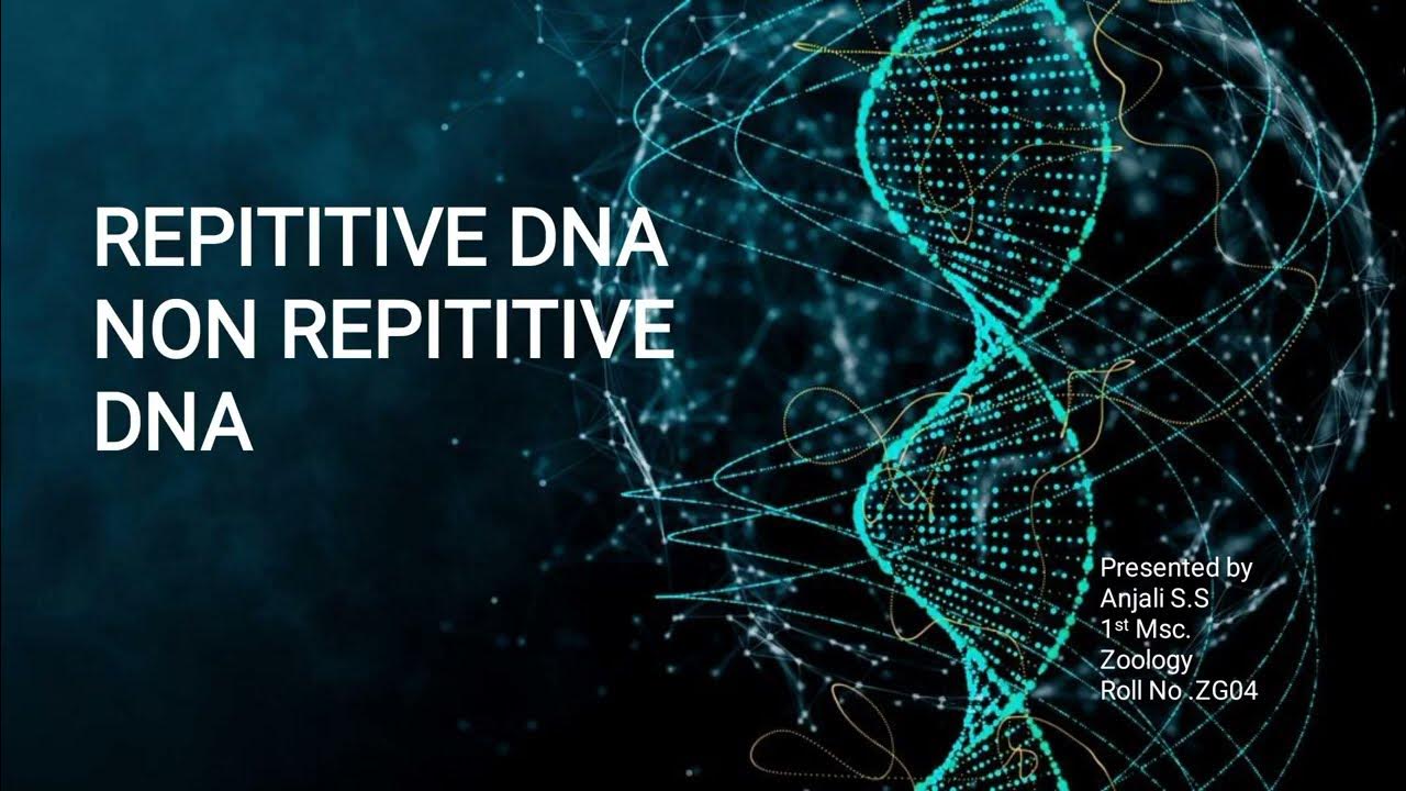 Features and Components of Repetitive and Non Repetitive DNA - YouTube