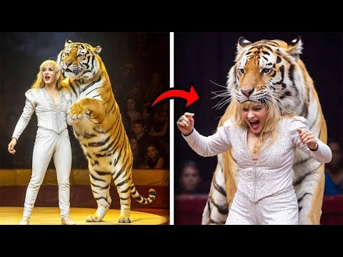 A última apresentação de Marlena Vasquez devorada por seu tigre no palco